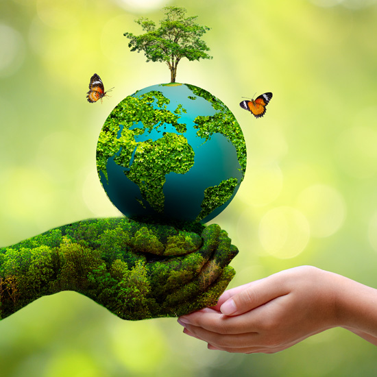 GMK Research - Environmental Health Safety